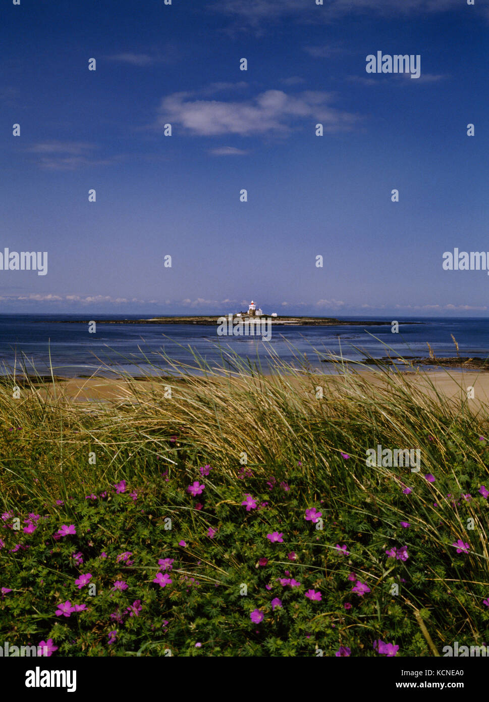 View NE of Coquet Island lighthouse (1841) & RSPB reserve, Northumbria ...