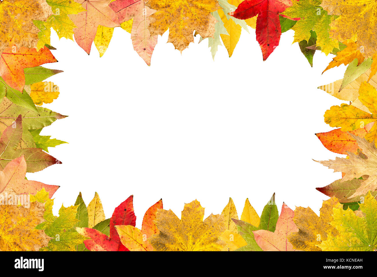 seasonal arrangement of withering leaves complete frame Stock Photo - Alamy