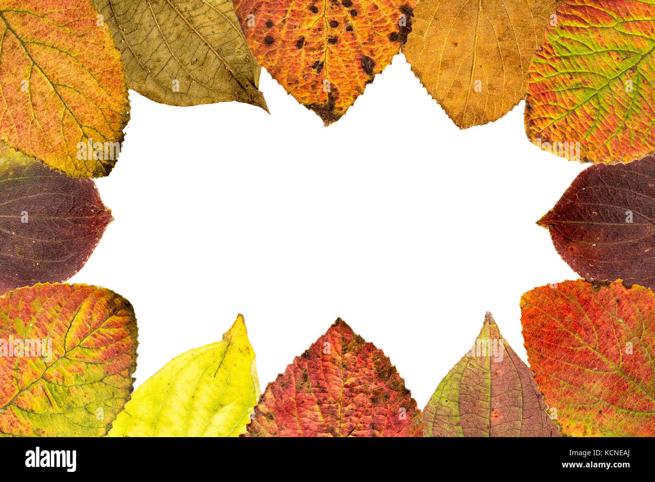 seasonal arrangement of withering leaves complete frame Stock Photo - Alamy