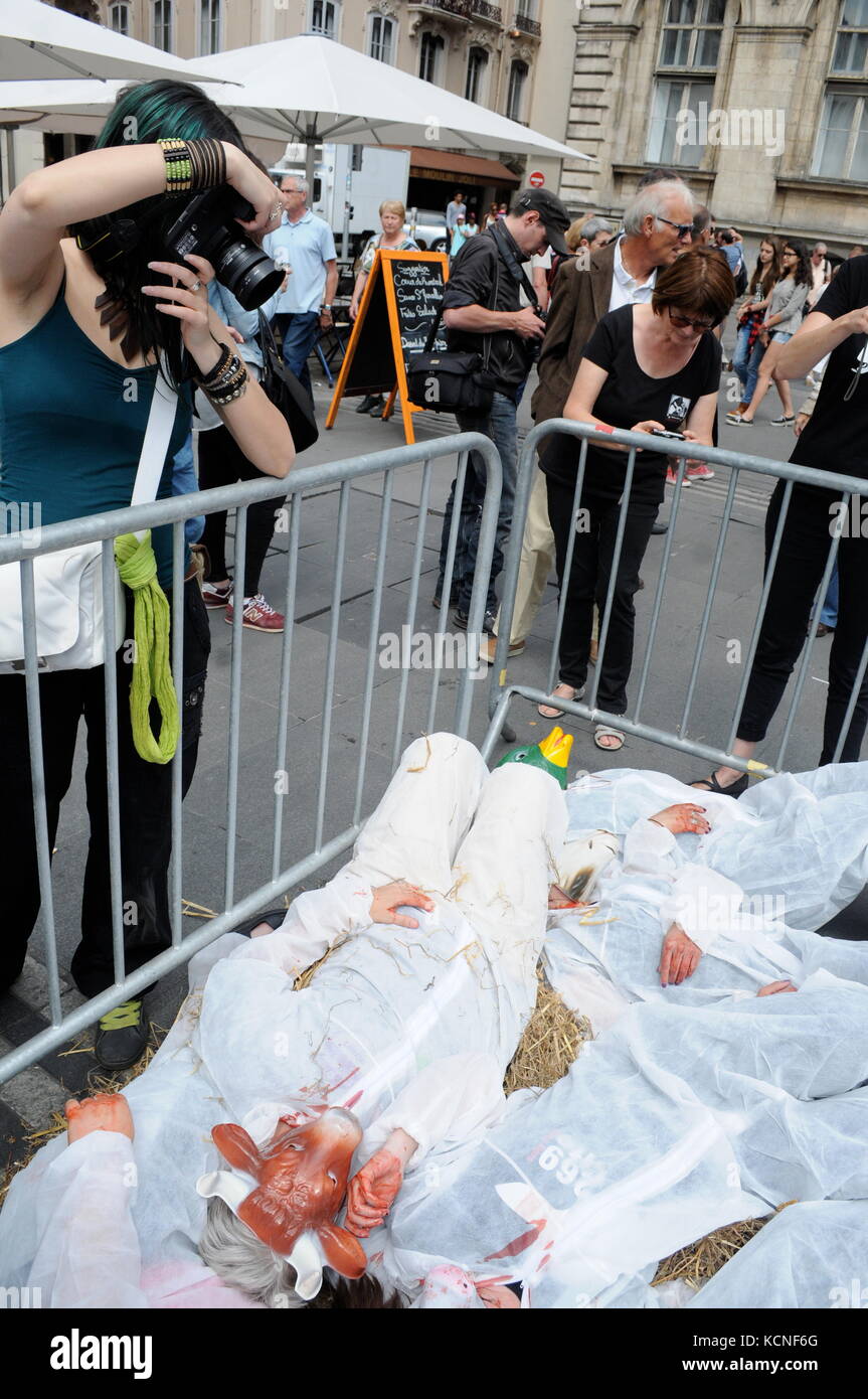 Lyon, France L269 Animals rights activists protest violences made to ...