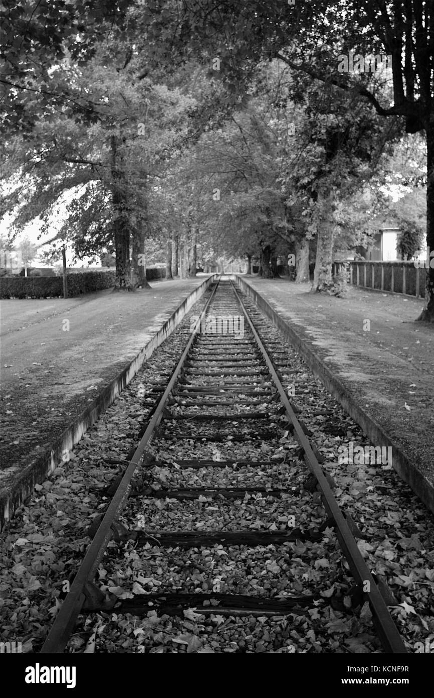 Reportage internment camp on Black and White Stock Photos & Images - Alamy