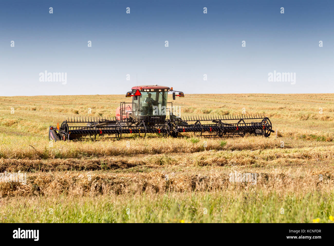 Cutting Crops High Resolution Stock Photography and Images - Alamy