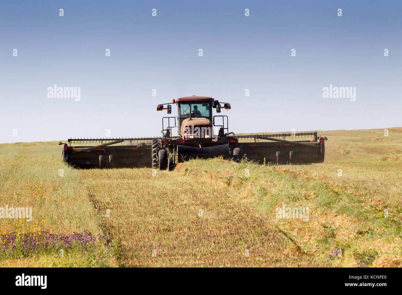 Farmer cutting crops hi-res stock photography and images - Alamy