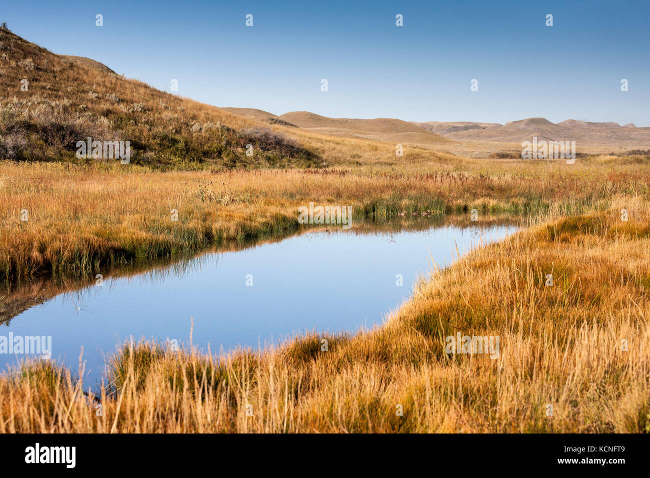 In The Frenchman River Valley High Resolution Stock Photography and ...