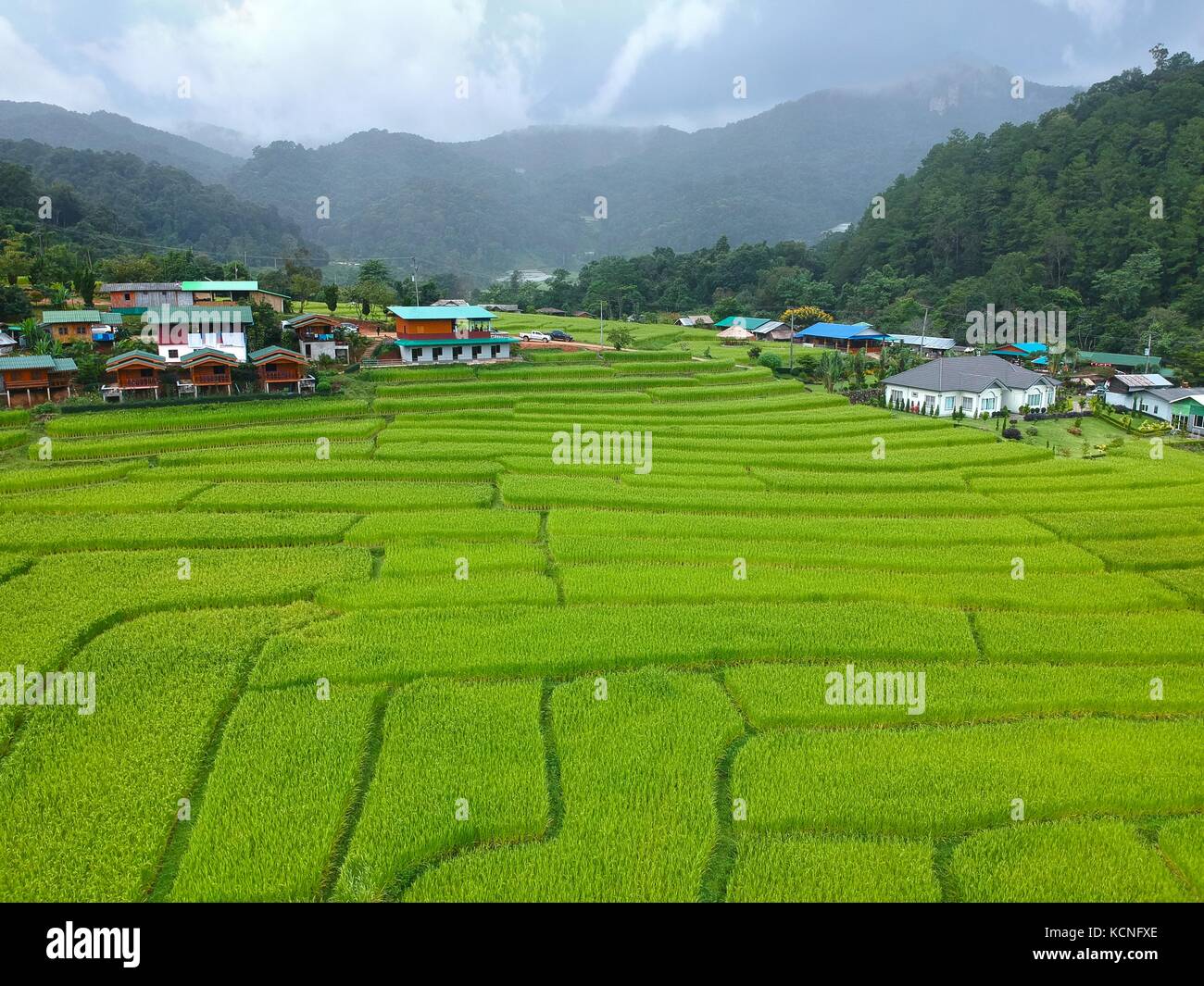 Rice terrace at Doi Inthanon National Park Chom Thong District Chiang ...