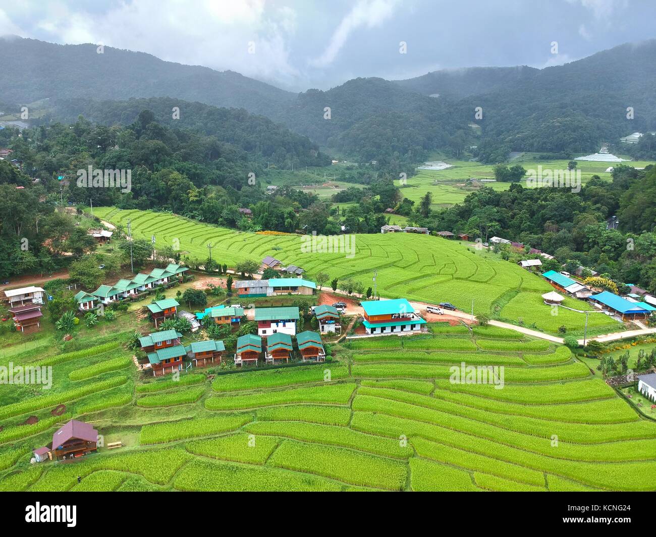 Rice terrace at Doi Inthanon National Park Chom Thong District Chiang ...