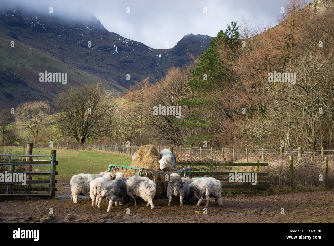 Stool end farm great langdale hi-res stock photography and images - Alamy