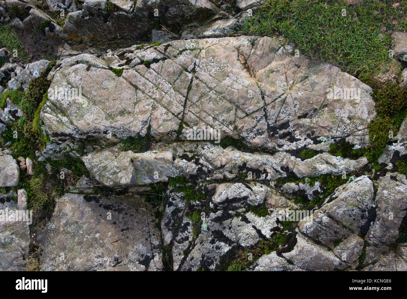 Patterned rock with moss and lichen, Lake District National Park, UK ...