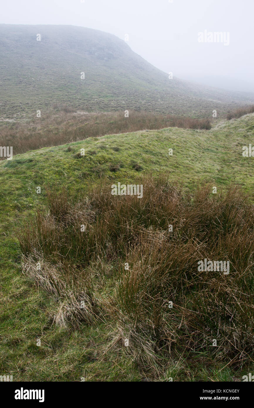 Summit of Graystones in partial mist, Lake District National Park, UK ...