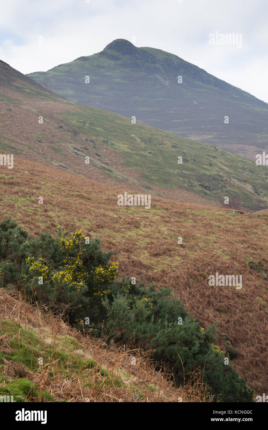 Causey Pike from ascent of Rowling End, Lake District National Park, UK ...