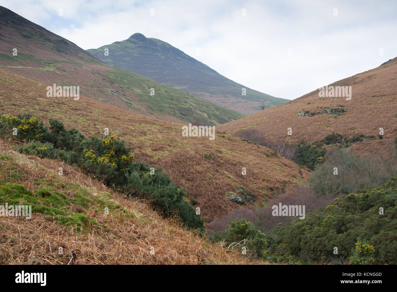 Causey Pike from ascent of Rowling End, Lake District National Park, UK ...