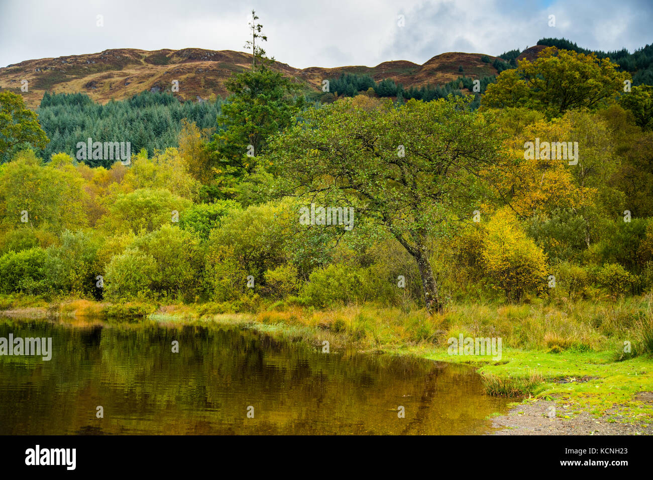 Early autumn colours on Loch Ard Stock Photo - Alamy
