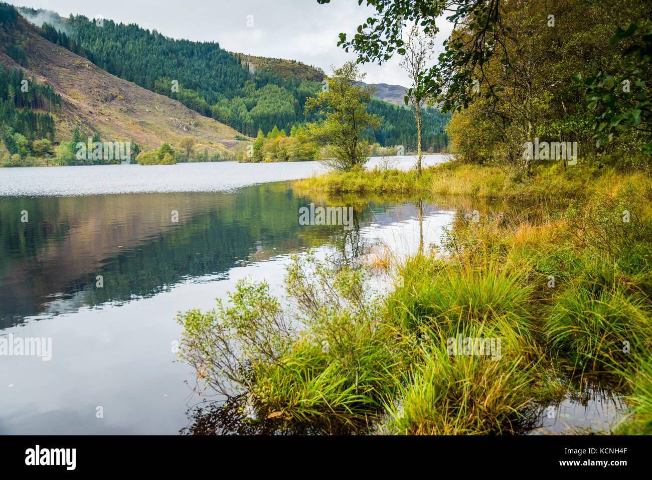 Early autumn colours on Loch Ard Stock Photo - Alamy