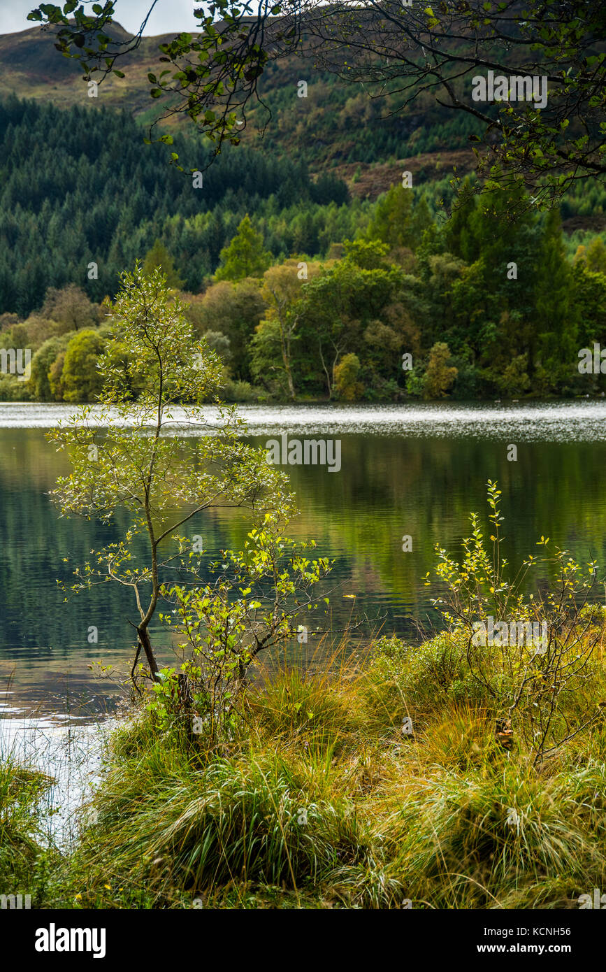Early autumn colours on Loch Ard Stock Photo - Alamy