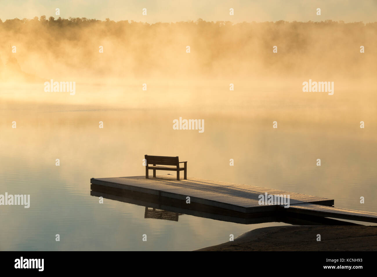 Bench on dock, fog at sunrise, Oxtongue Lake, Ontario, Canada Stock ...