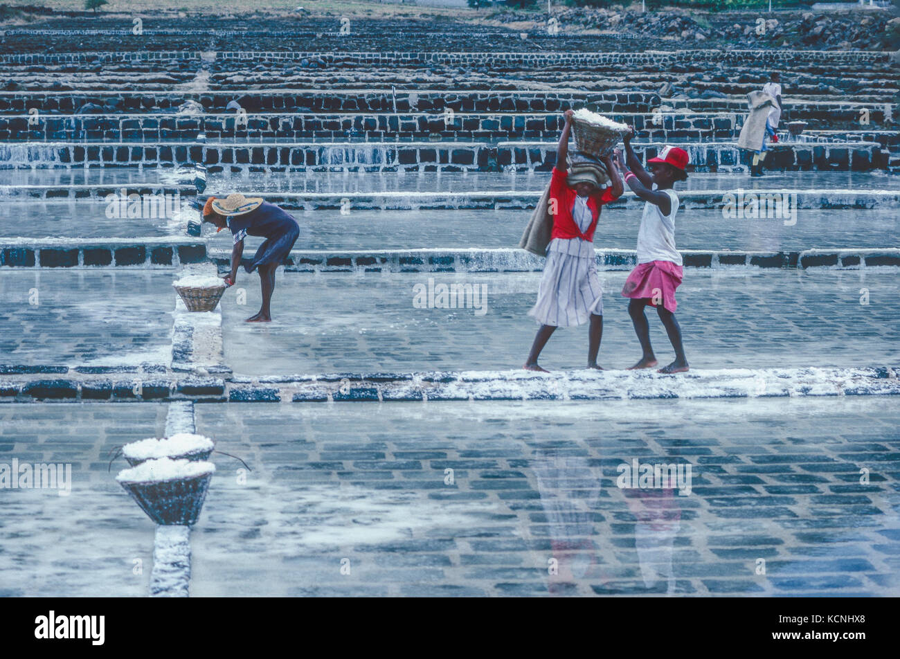Tamarin mauritius salt hi-res stock photography and images - Alamy
