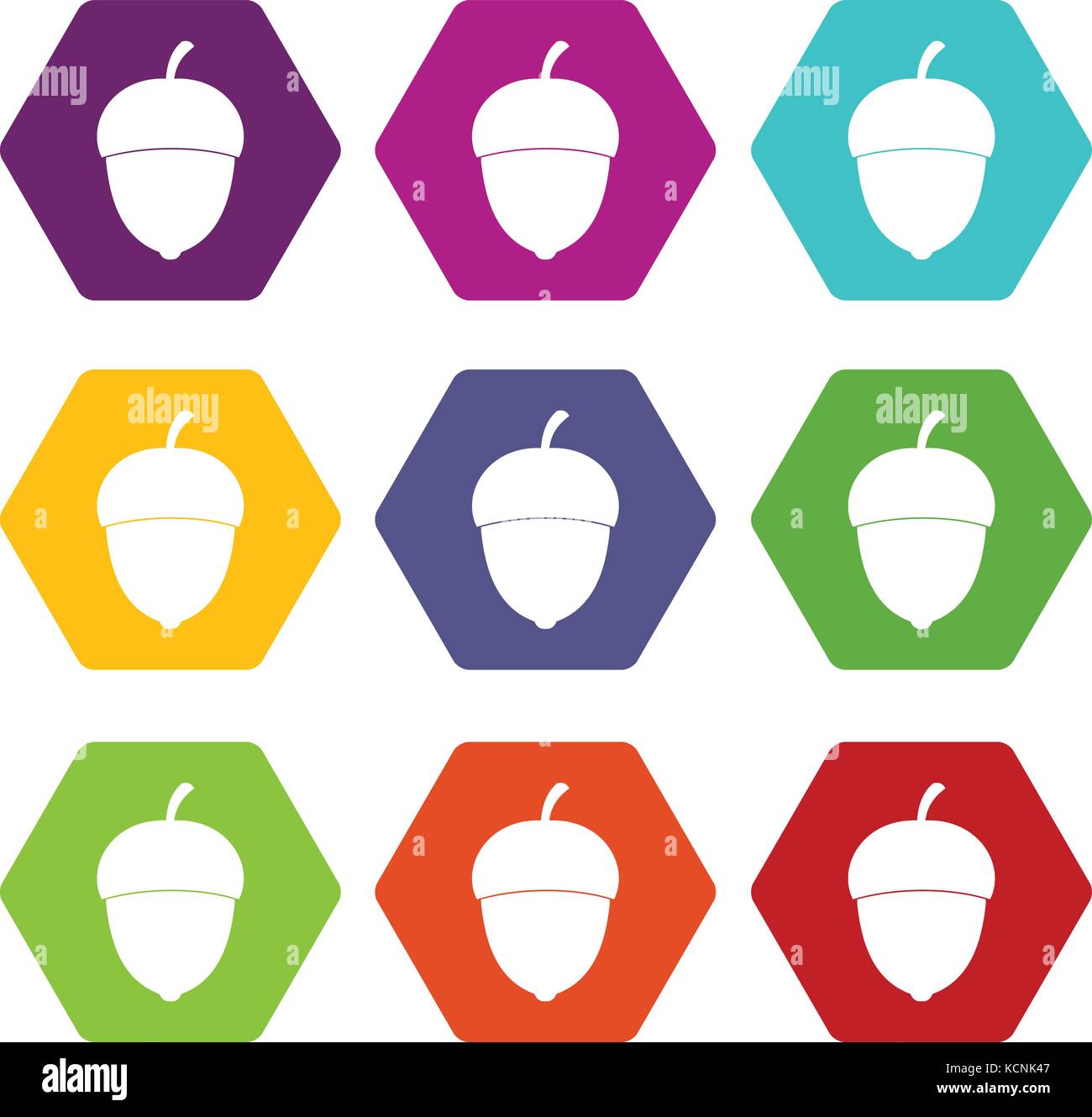 Acorn icon set color hexahedron Stock Vector Image & Art - Alamy