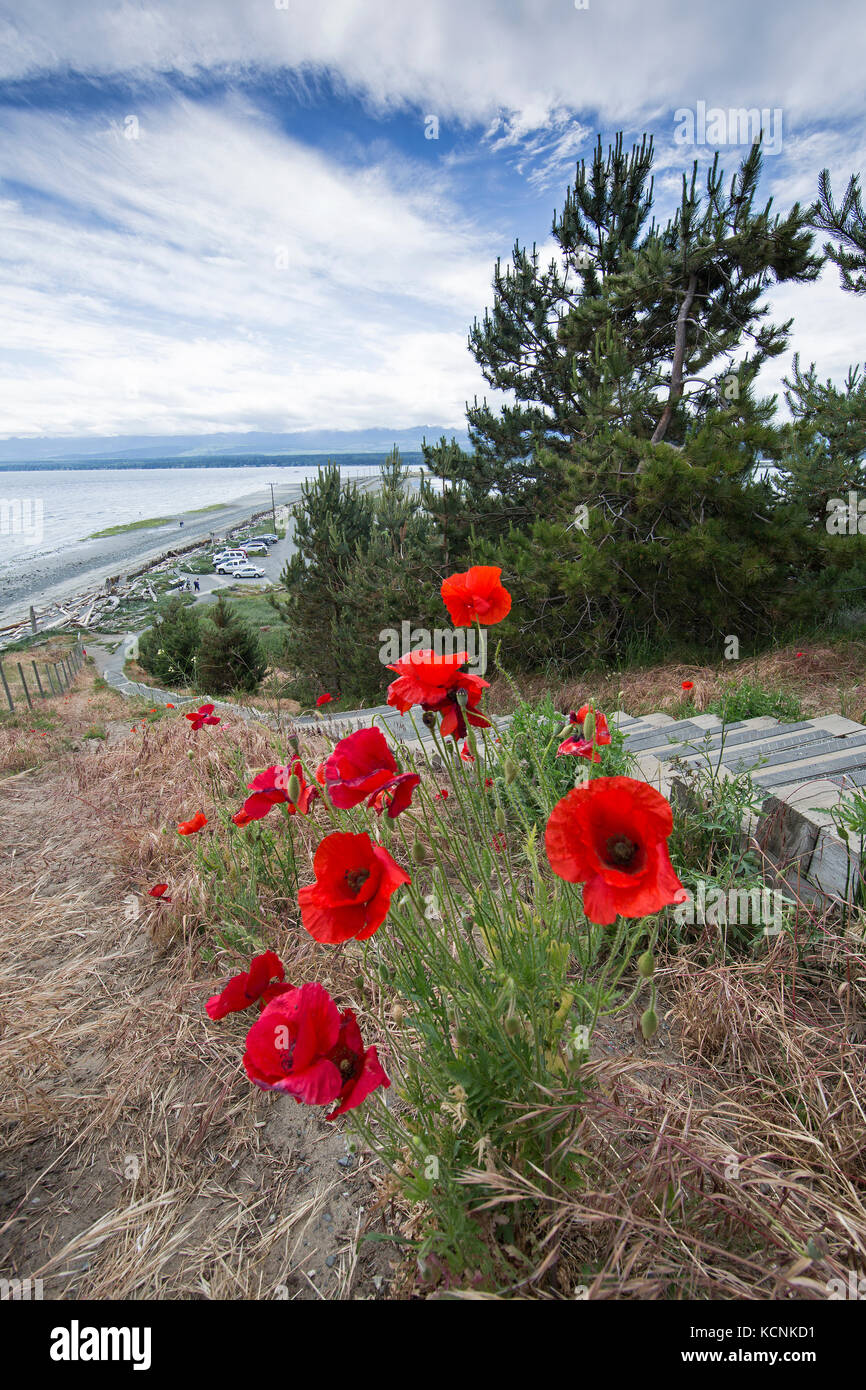 The 168 stairs hi-res stock photography and images - Alamy