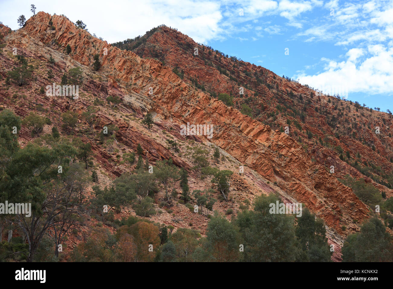 Flinders ranges hi-res stock photography and images - Alamy