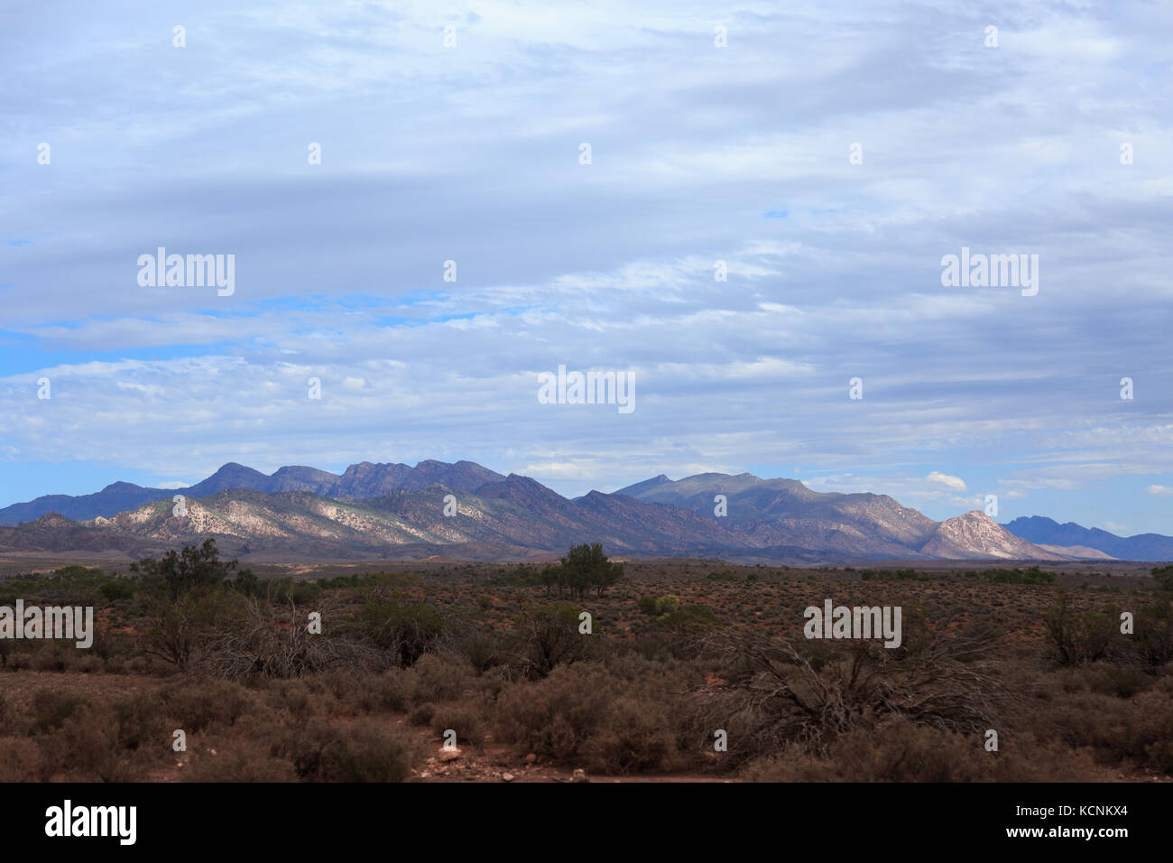 The Flinders Ranges in the Australian outback Stock Photo - Alamy