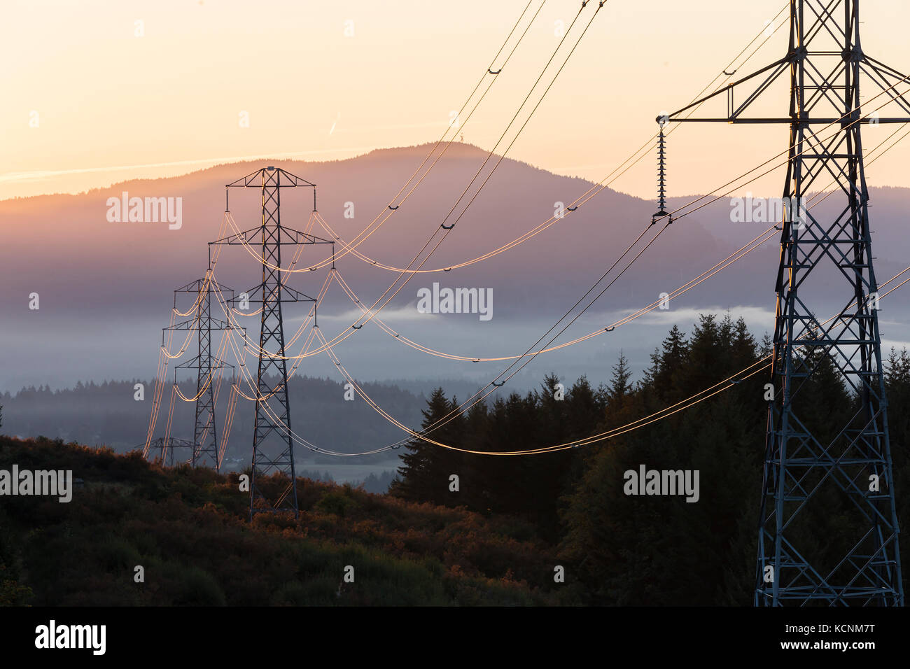 High tension power lines are illuminated by an early morning sunrise ...