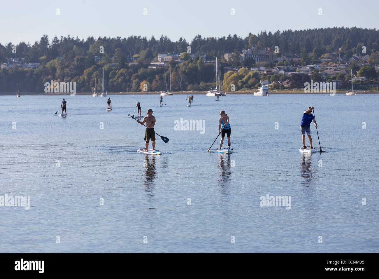 Paddleboaters on Comox Bay paddle out to the end of the Goose Spit ...