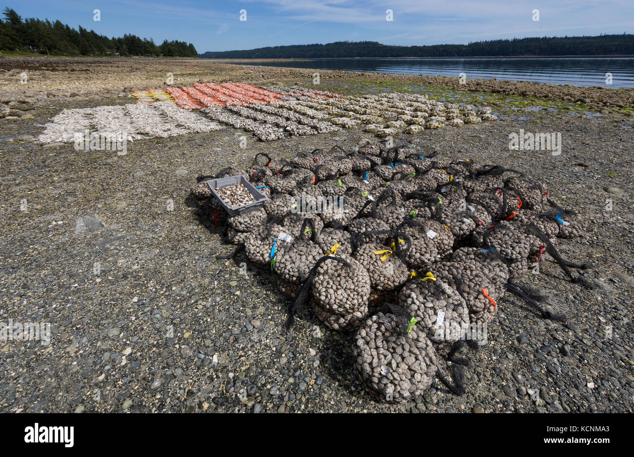 Shore line foreshore hi-res stock photography and images - Alamy