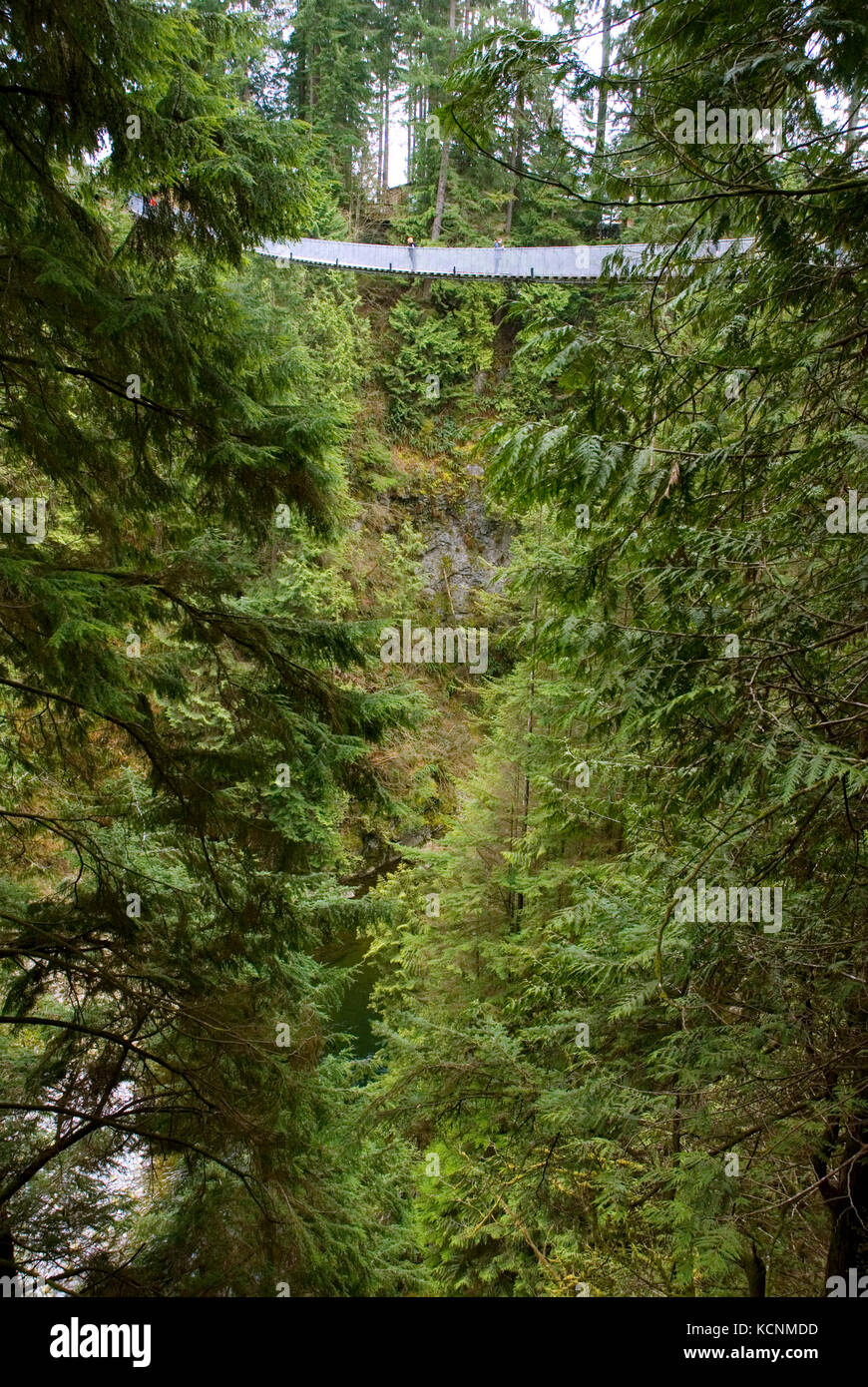 Capilano Suspension Bridge, Vancouver, British Columbia, Canada Stock ...