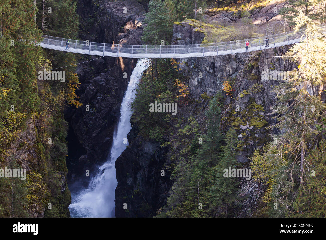 Elk Falls Suspension Bridge over Elk Falls Canyon provides incredible ...