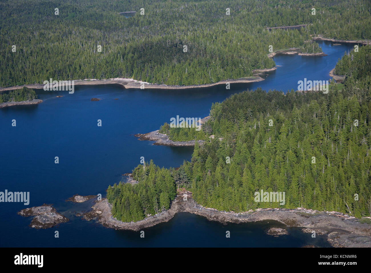 Great Bear Rainforest, aerial from float plane between Khutzeymateen ...