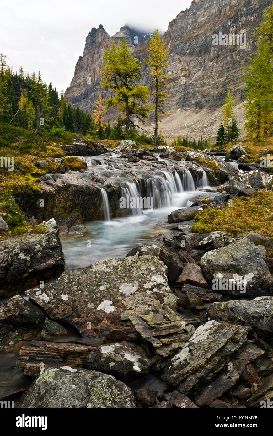 Opabin falls hi-res stock photography and images - Alamy