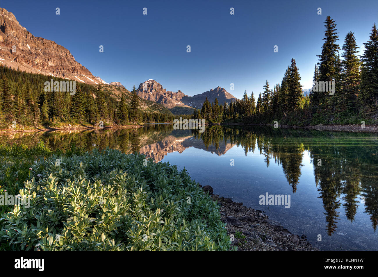 Mt assiniboine hi-res stock photography and images - Alamy