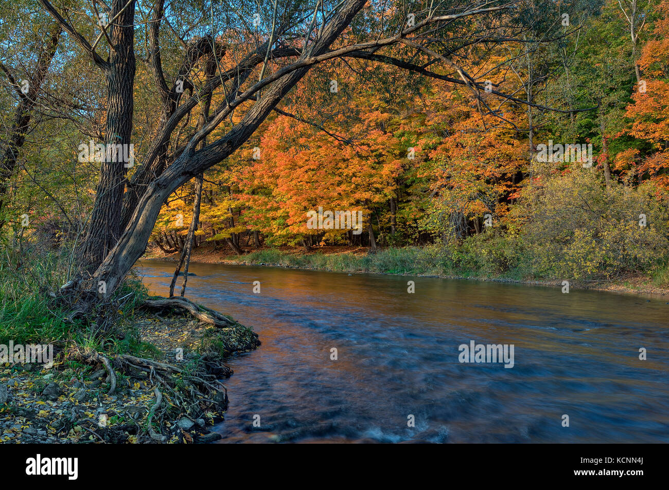 Credit river ontario hi-res stock photography and images - Alamy