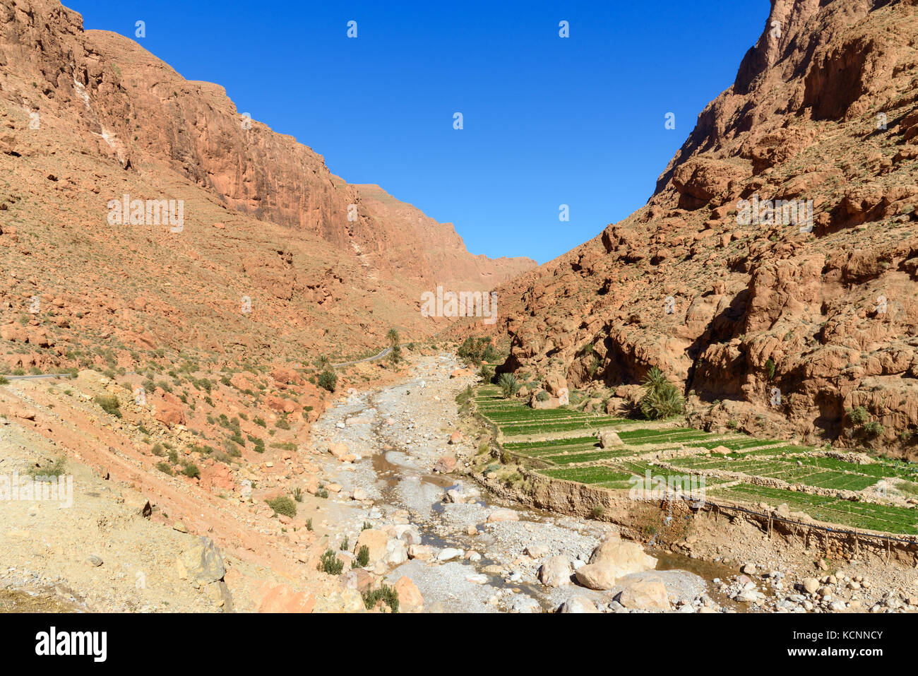 Todgha Gorge is canyon in Atlas Mountains, near Tinghir in Morocco ...