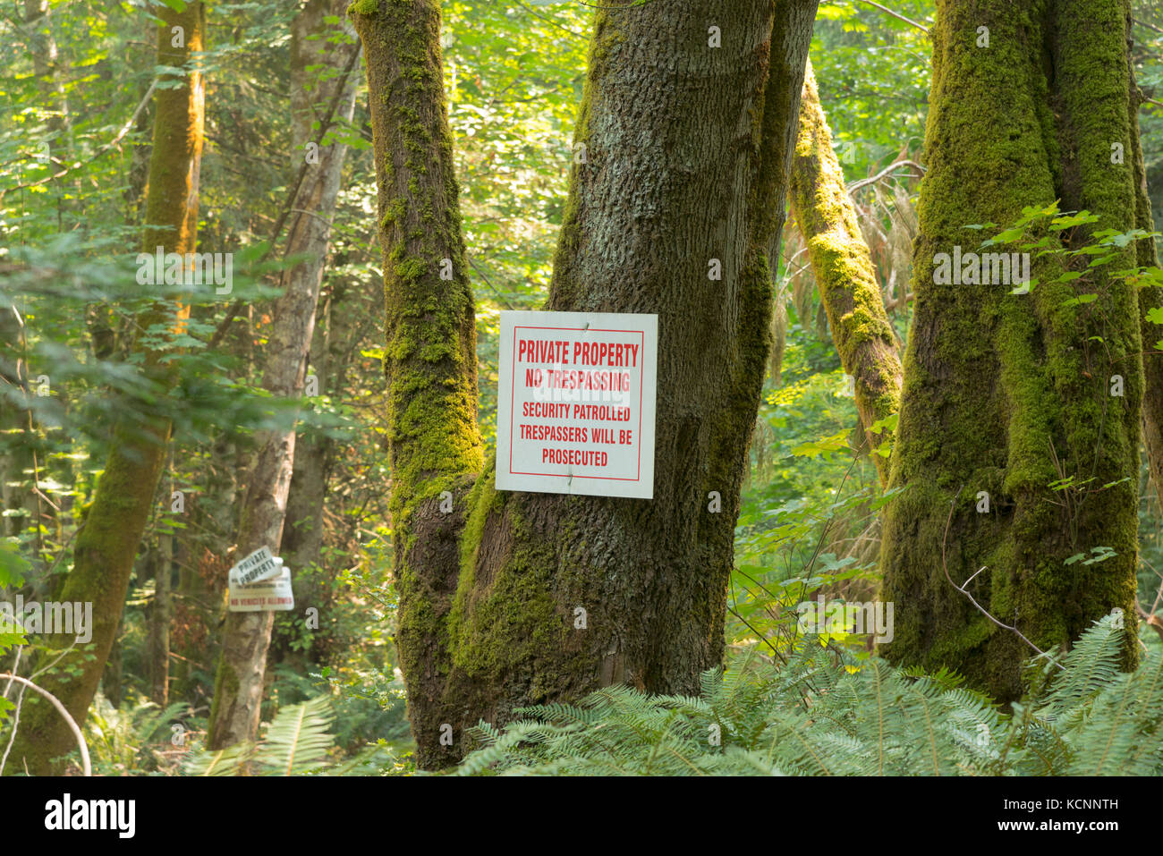 Sign posted path hi-res stock photography and images - Alamy
