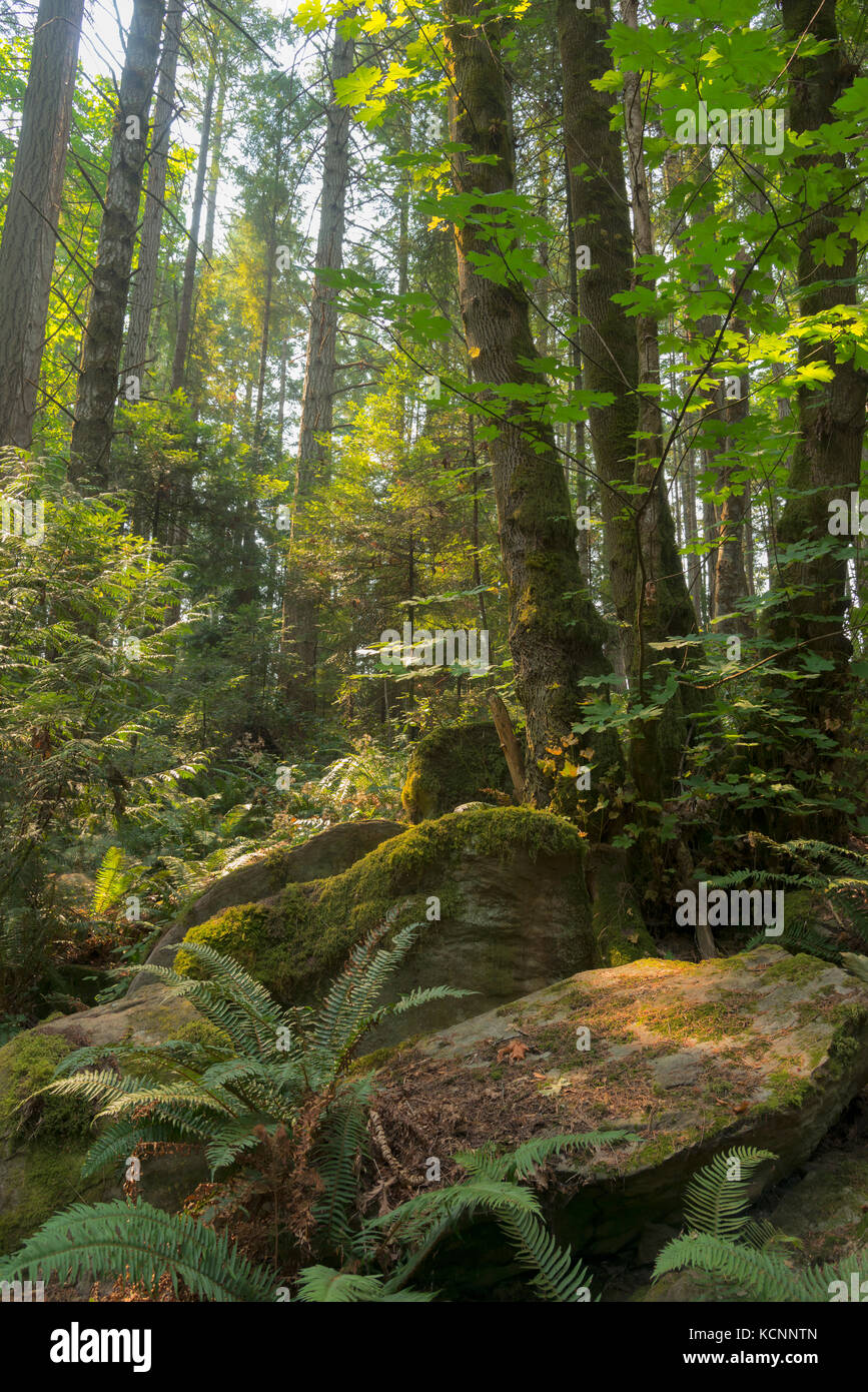 Cable Bay trail Nanaimo Stock Photo - Alamy