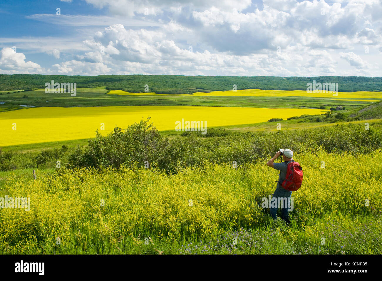 Viewing hills hi-res stock photography and images - Alamy
