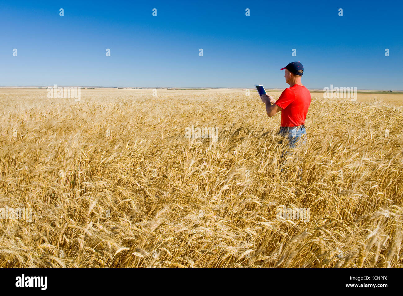Personal tablet outdoors hi-res stock photography and images - Alamy