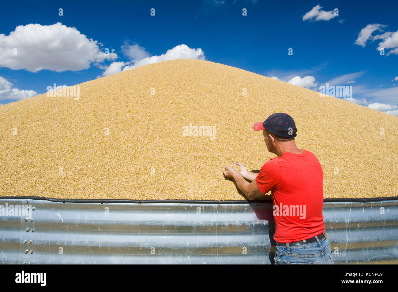 Scared or frightened of being outside hi-res stock photography and ...