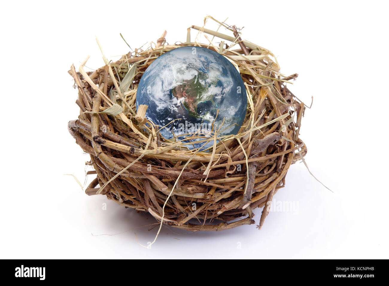 Earth globe in bird's nest over white background Stock Photo - Alamy