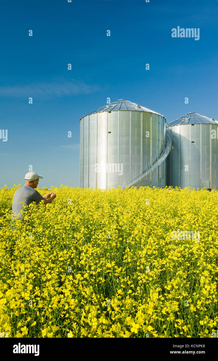 Terminal bloom hi-res stock photography and images - Alamy