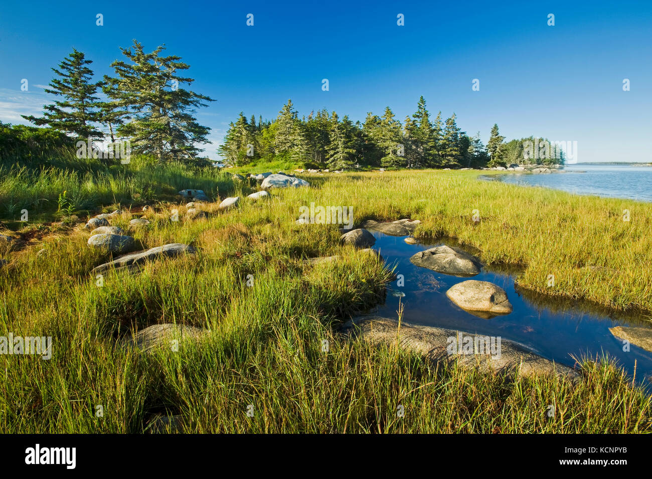 coastline, Bear Point, Nova Scotia, Canada Stock Photo - Alamy