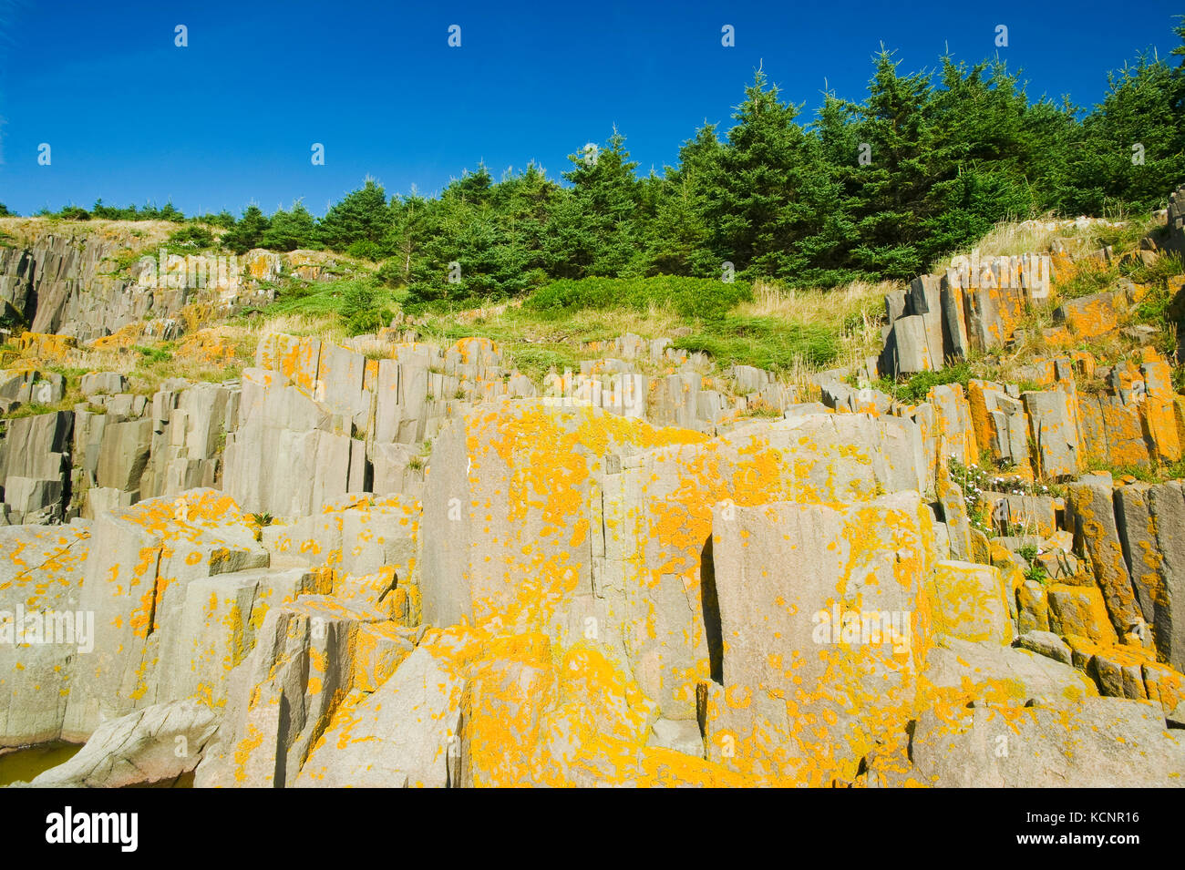 Basalt rock hi-res stock photography and images - Alamy