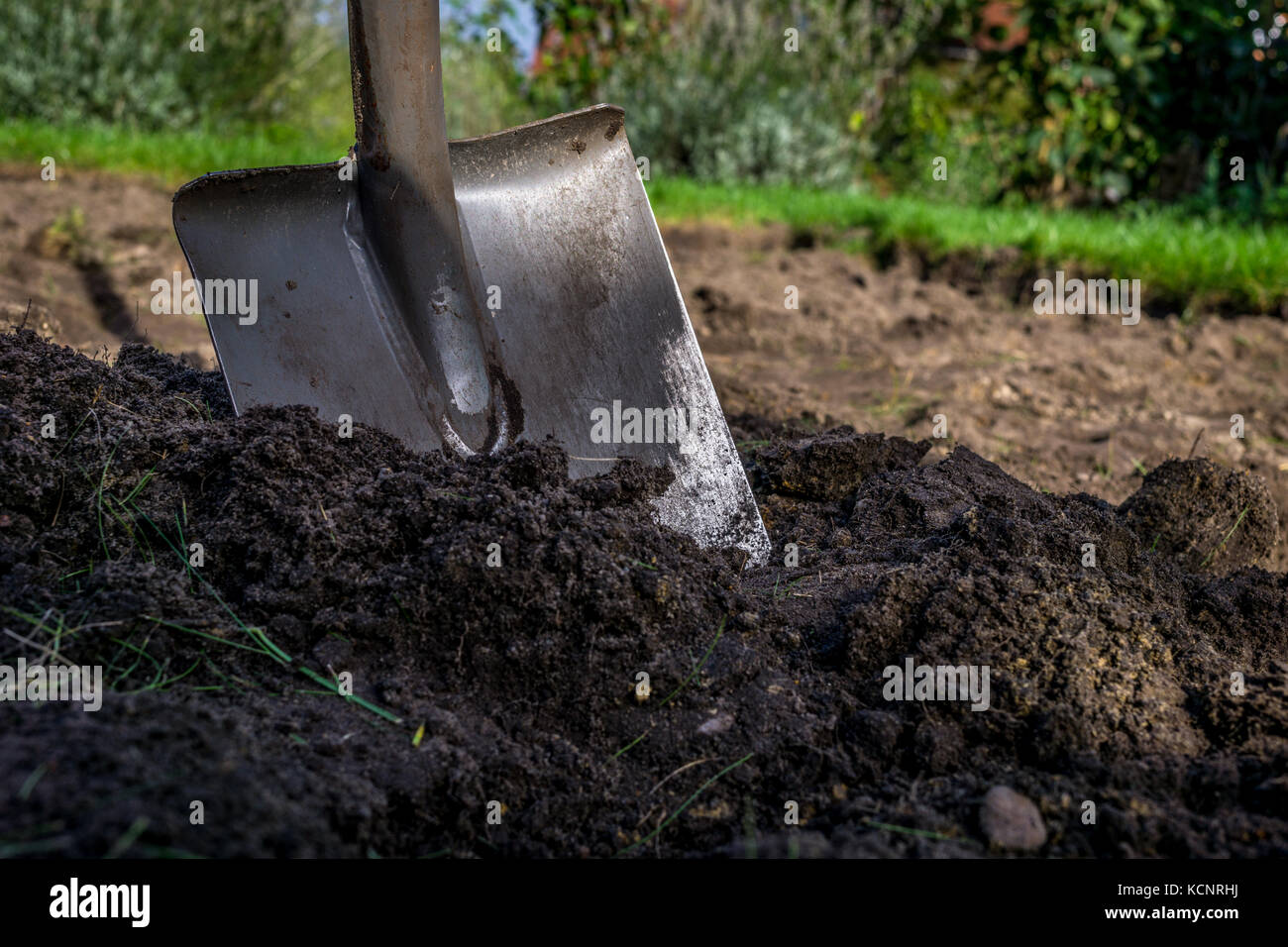 Spade stuck in the ground hi-res stock photography and images - Alamy