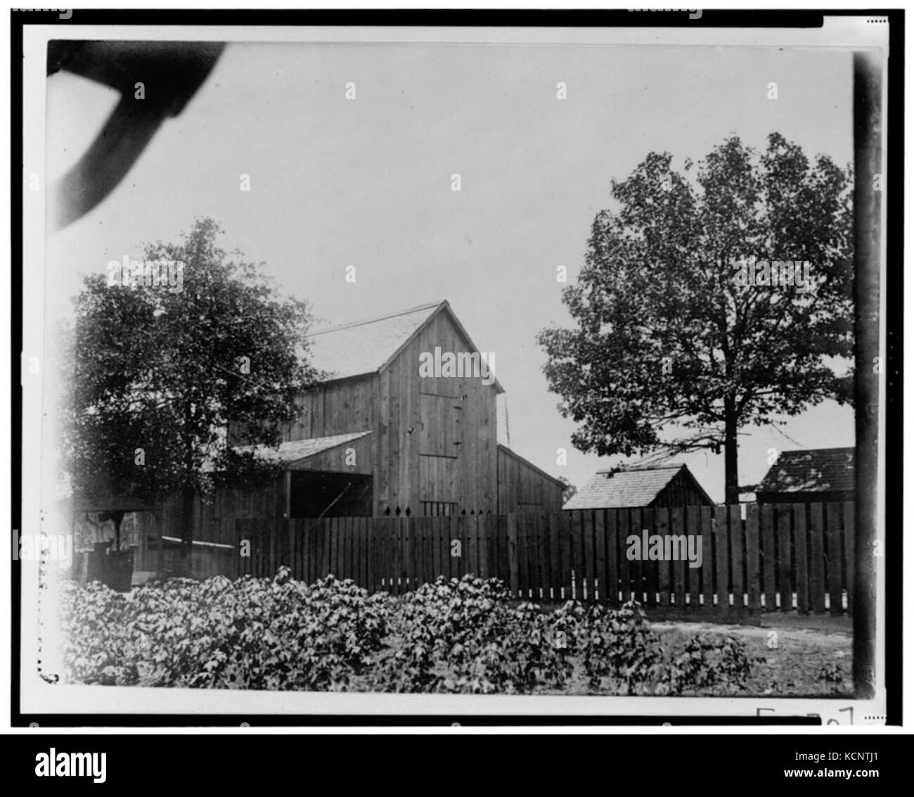 Georgia farm farming agriculture hi-res stock photography and images ...