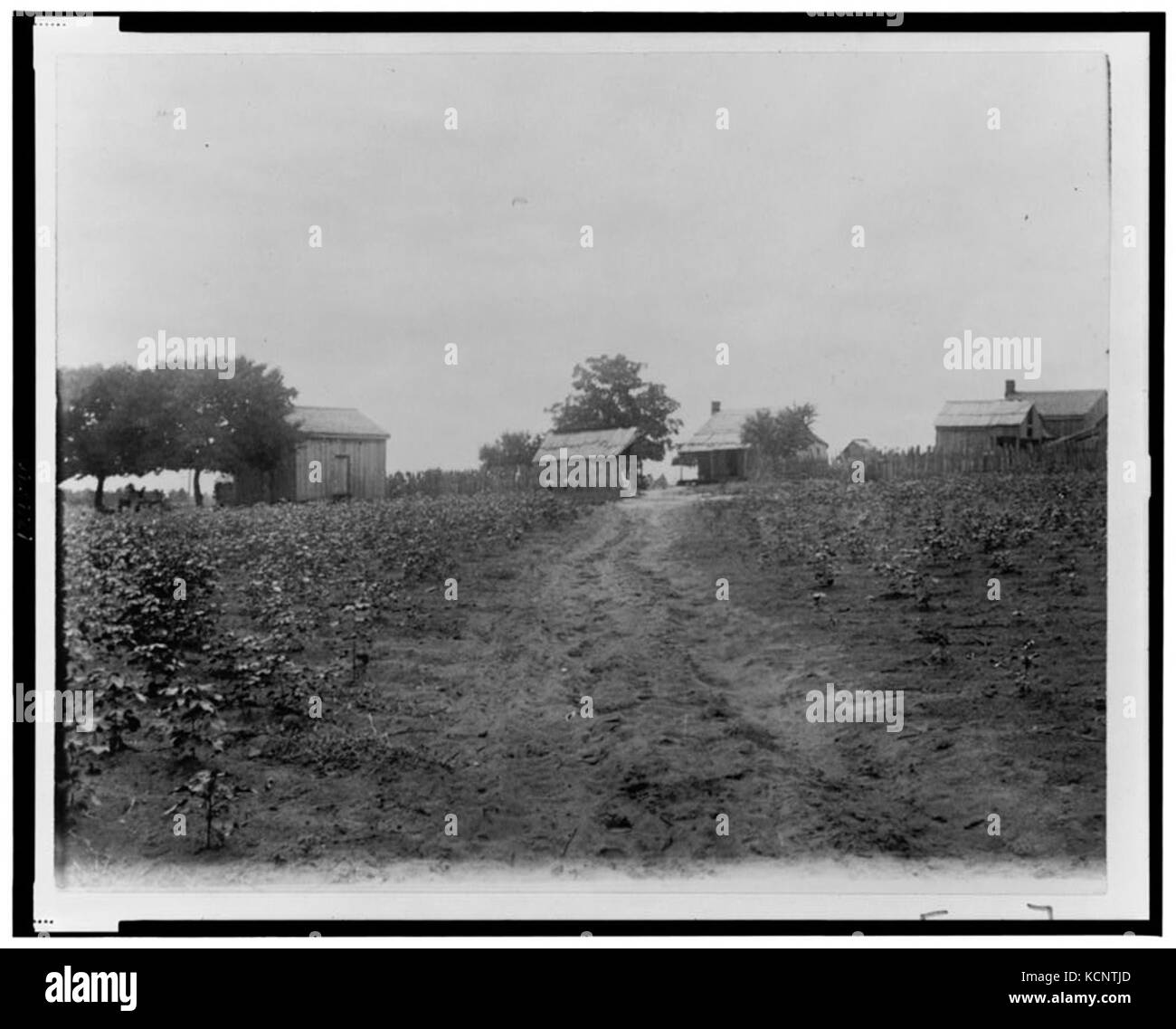 Background land Black and White Stock Photos & Images - Alamy