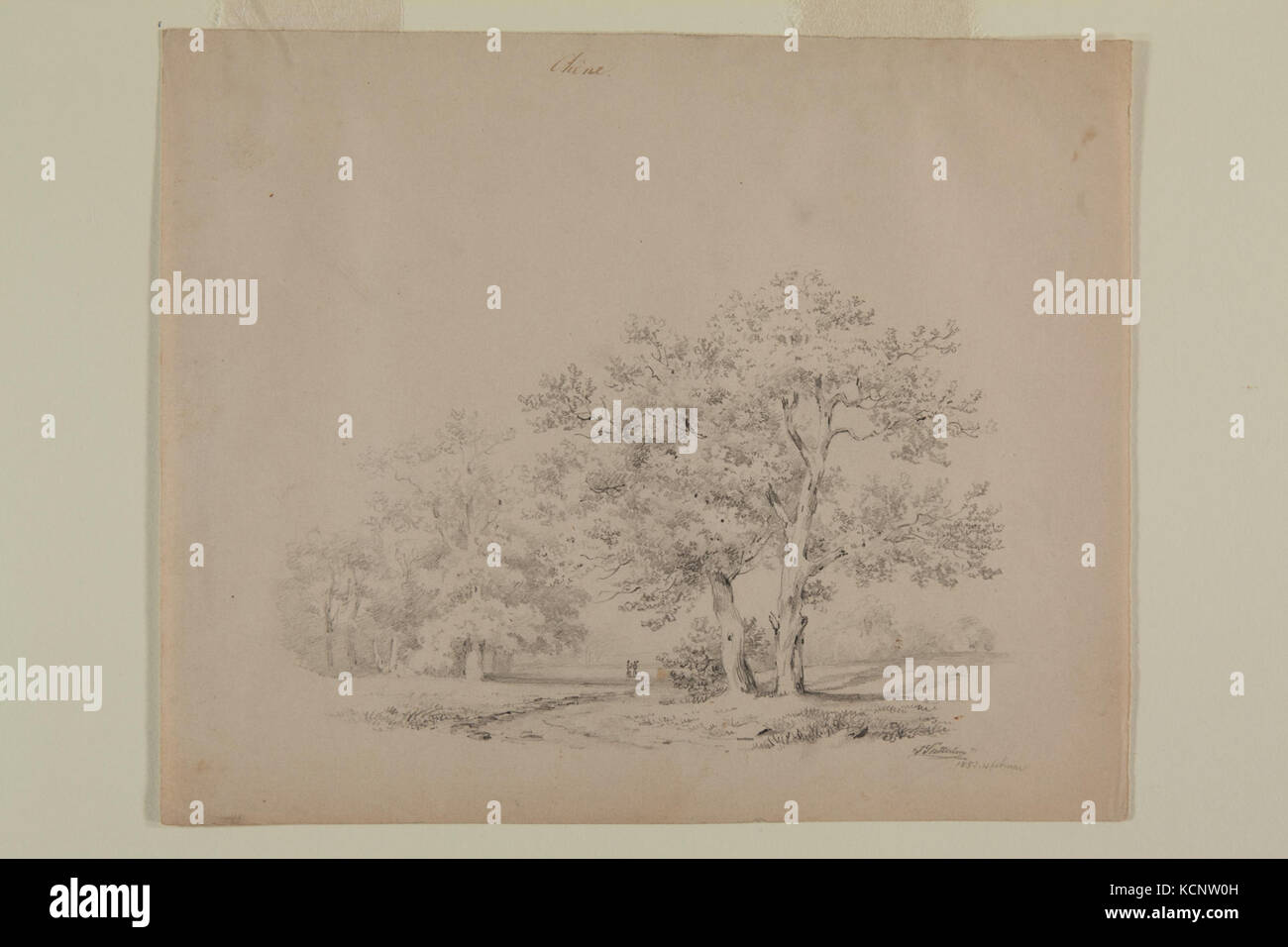 Sutterlin hi-res stock photography and images - Alamy