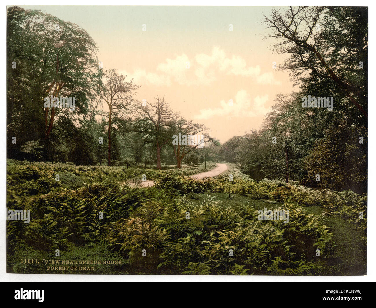 Speech house forest dean hi-res stock photography and images - Alamy