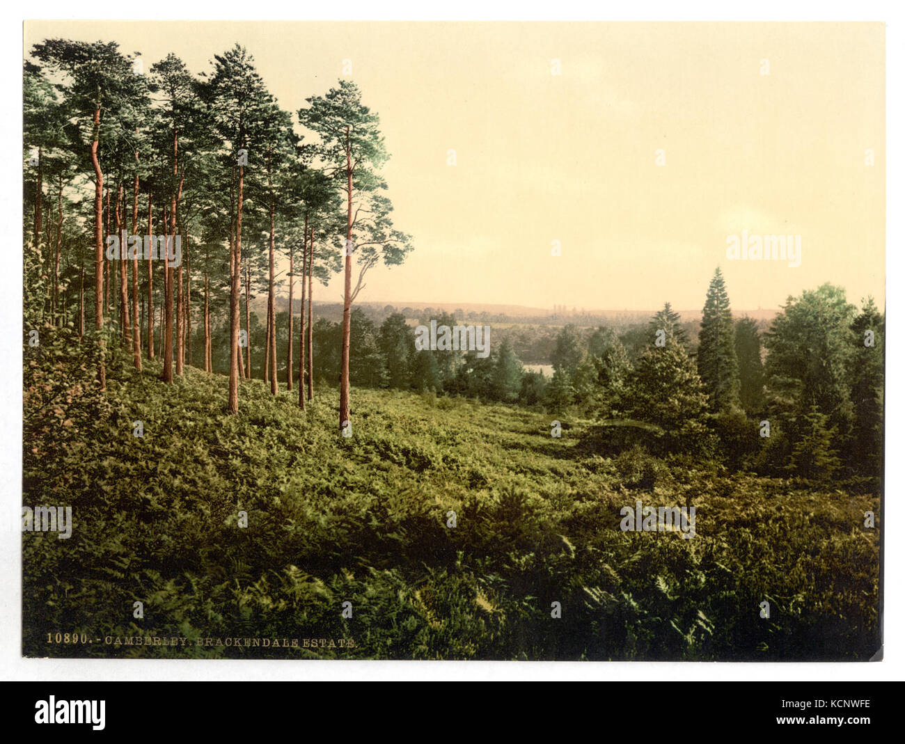 Map Of Camberley High Resolution Stock Photography and Images - Alamy