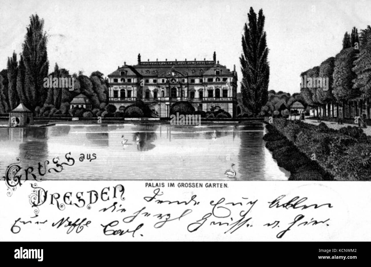 Copper engraving swan palace pond Stock Photo - Alamy